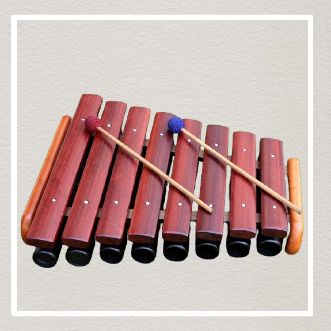 Aura Experience Store | Shop Online at the best Pondicherry Boutique