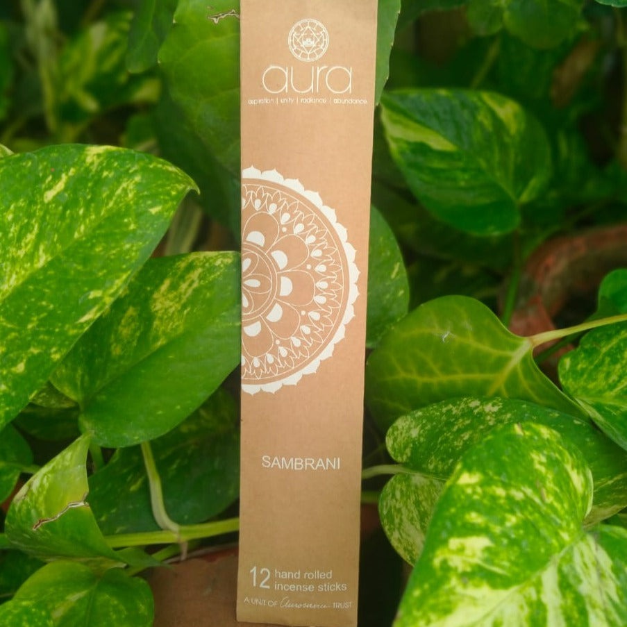 Sambrani Resin Incense 12 Sticks | Aura – Aura Experience Store